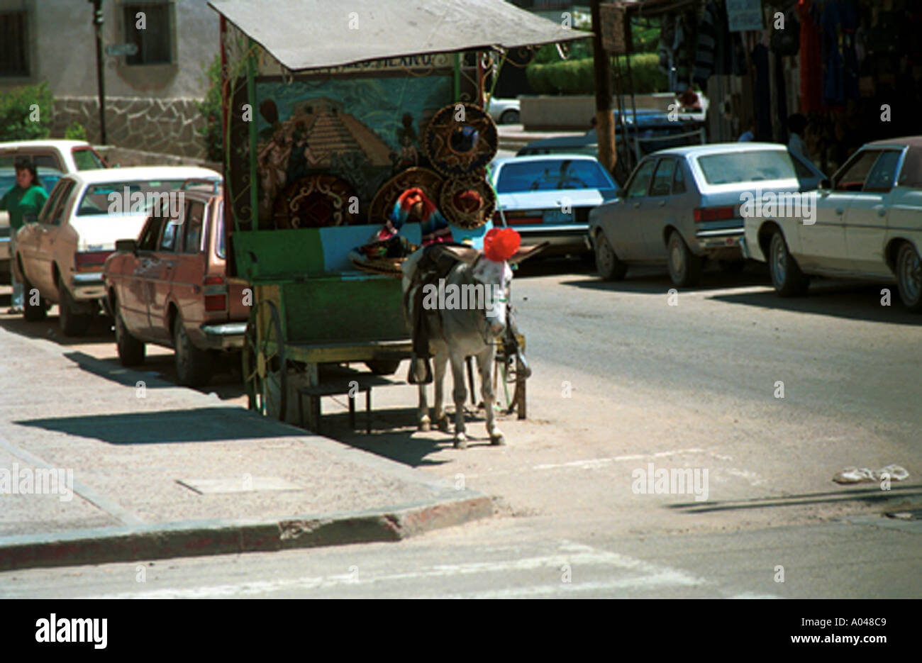 donkey tour bus Stock Photo - Alamy
