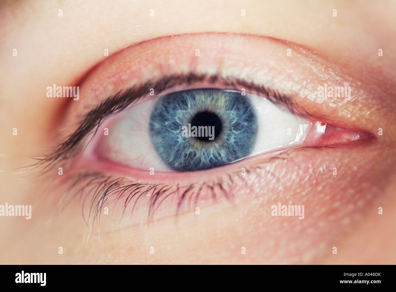 Human Males Blue Eye Close Up Stock Photo - Alamy