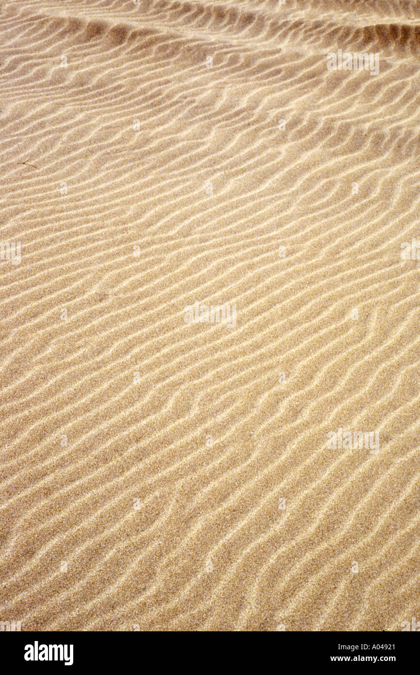 Close up of sand dune with wind ripples Stock Photo - Alamy