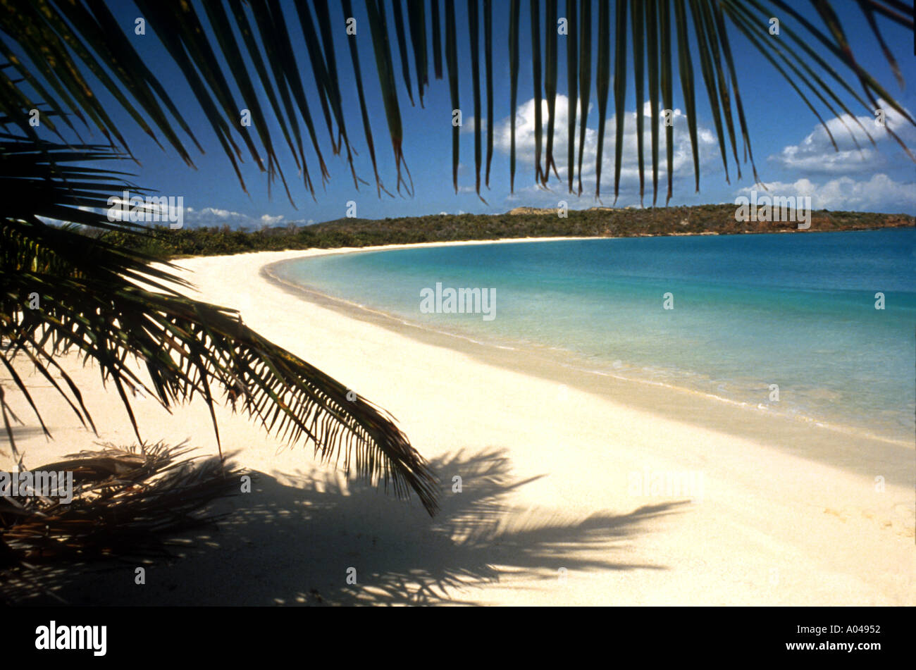 Pristine beach in tropical Puerto Rico Stock Photo - Alamy