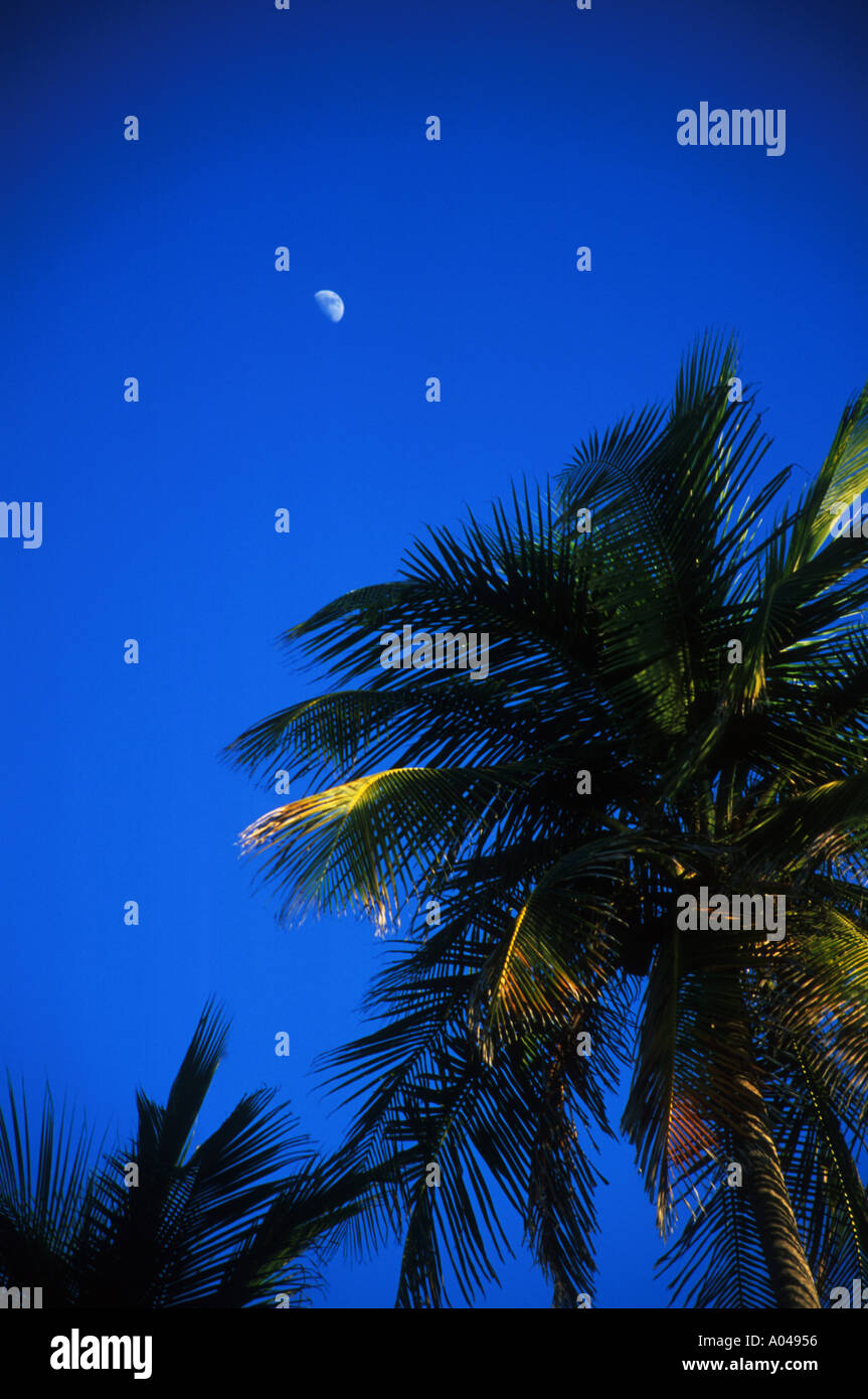Puerto rico moon hi-res stock photography and images - Alamy