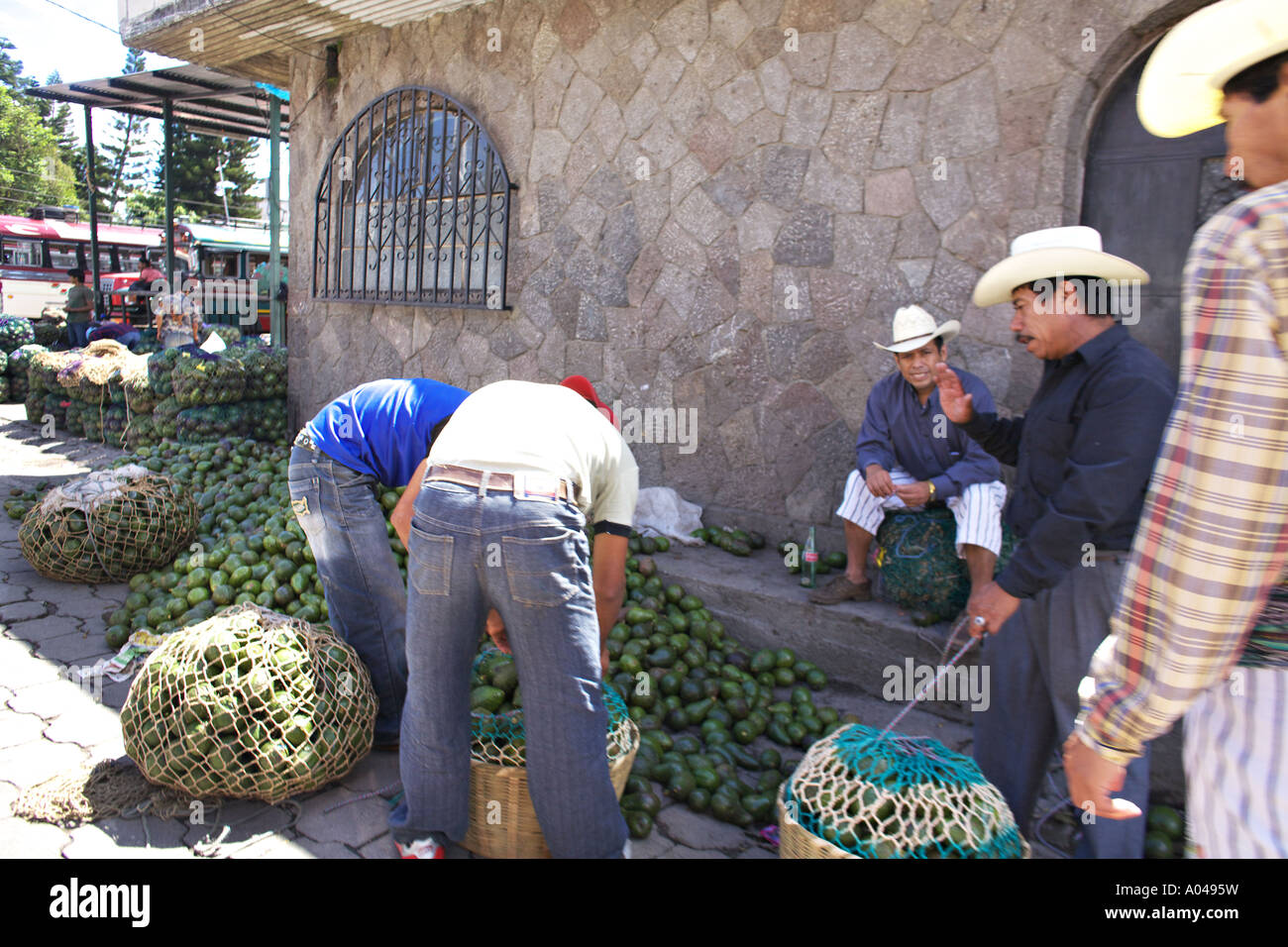 Maya agriculture hi-res stock photography and images - Alamy
