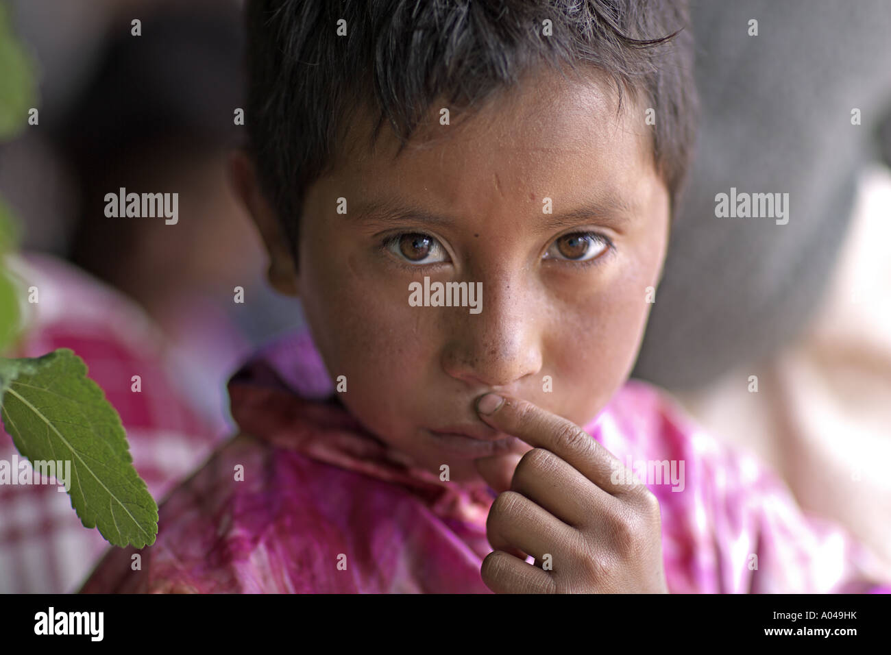 GUATEMALA CAPELLANIA Young indigenous Maya Quiche boy waiting to be ...