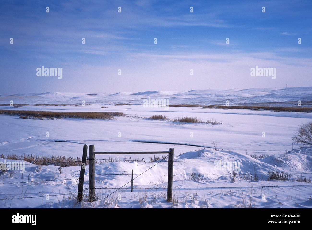 snow covered prairie in a winter scene in Alberta foothills with fence ...