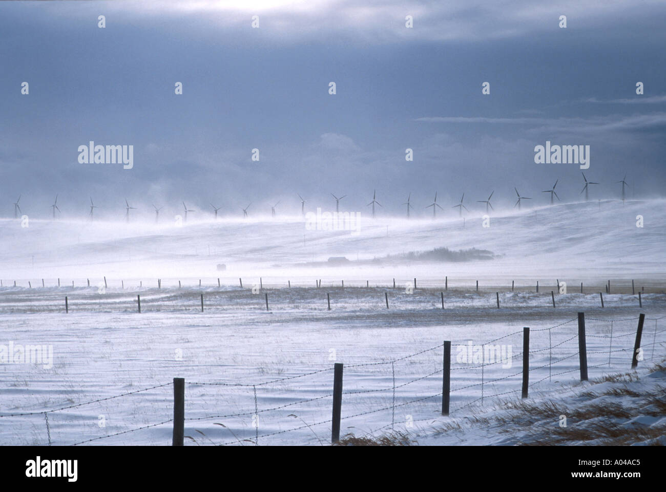 Blizzard [prairies winter storm] hi-res stock photography and images ...