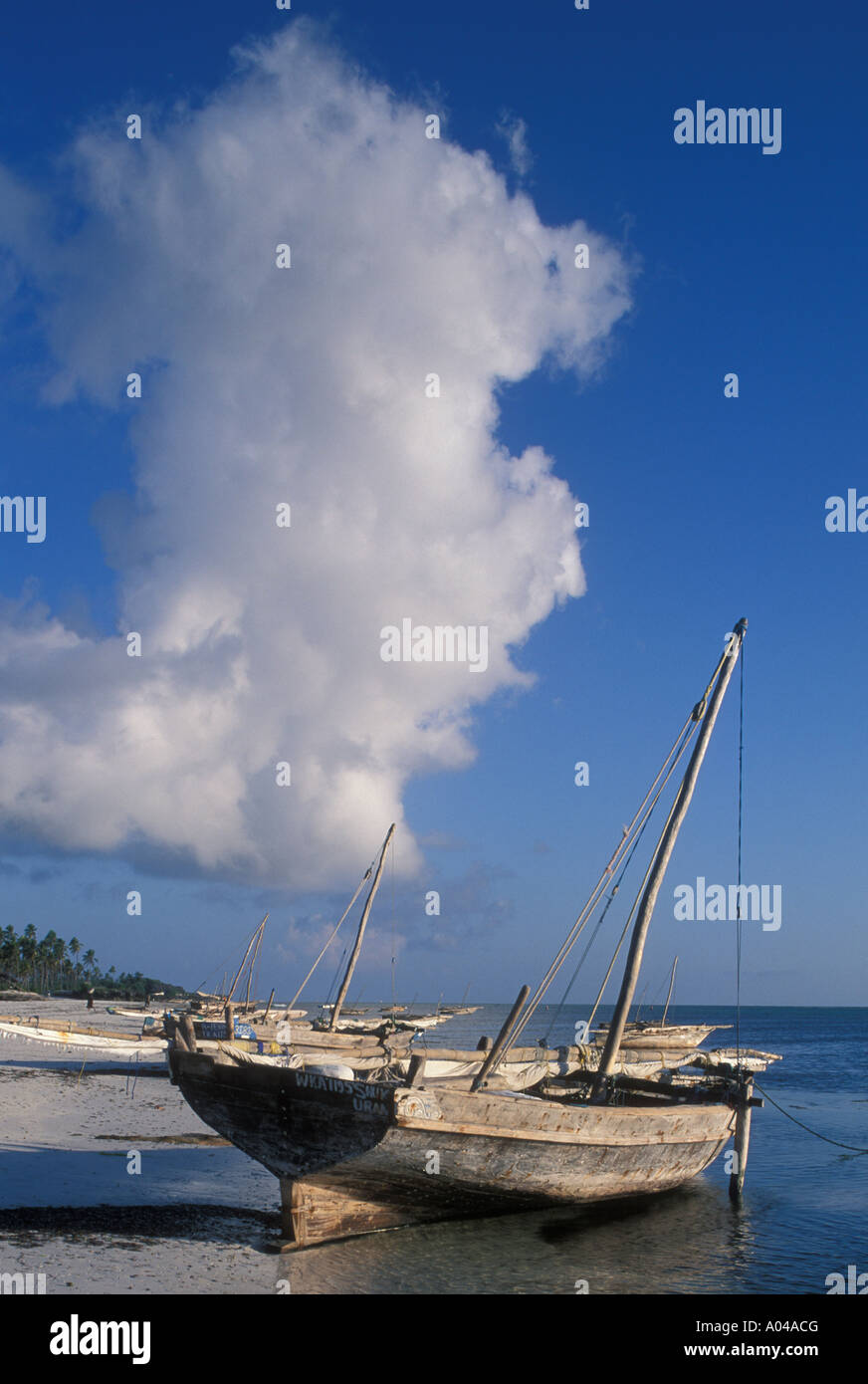 Africa, Tanzania, Zanzibar, Matemwe Bay, Wooden fishing boat (dhow) in ...