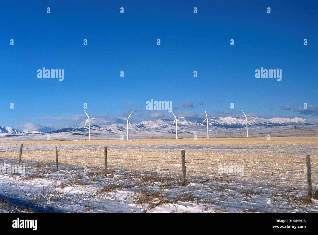 Power generating windmills southern Alberta Canada Stock Photo - Alamy