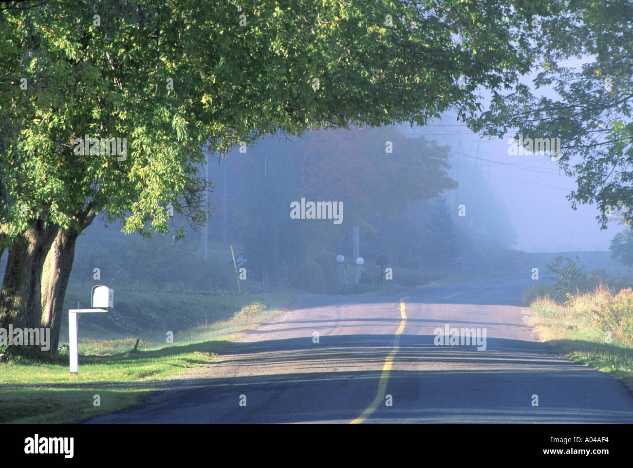 country road New Brunswick Canada Stock Photo - Alamy