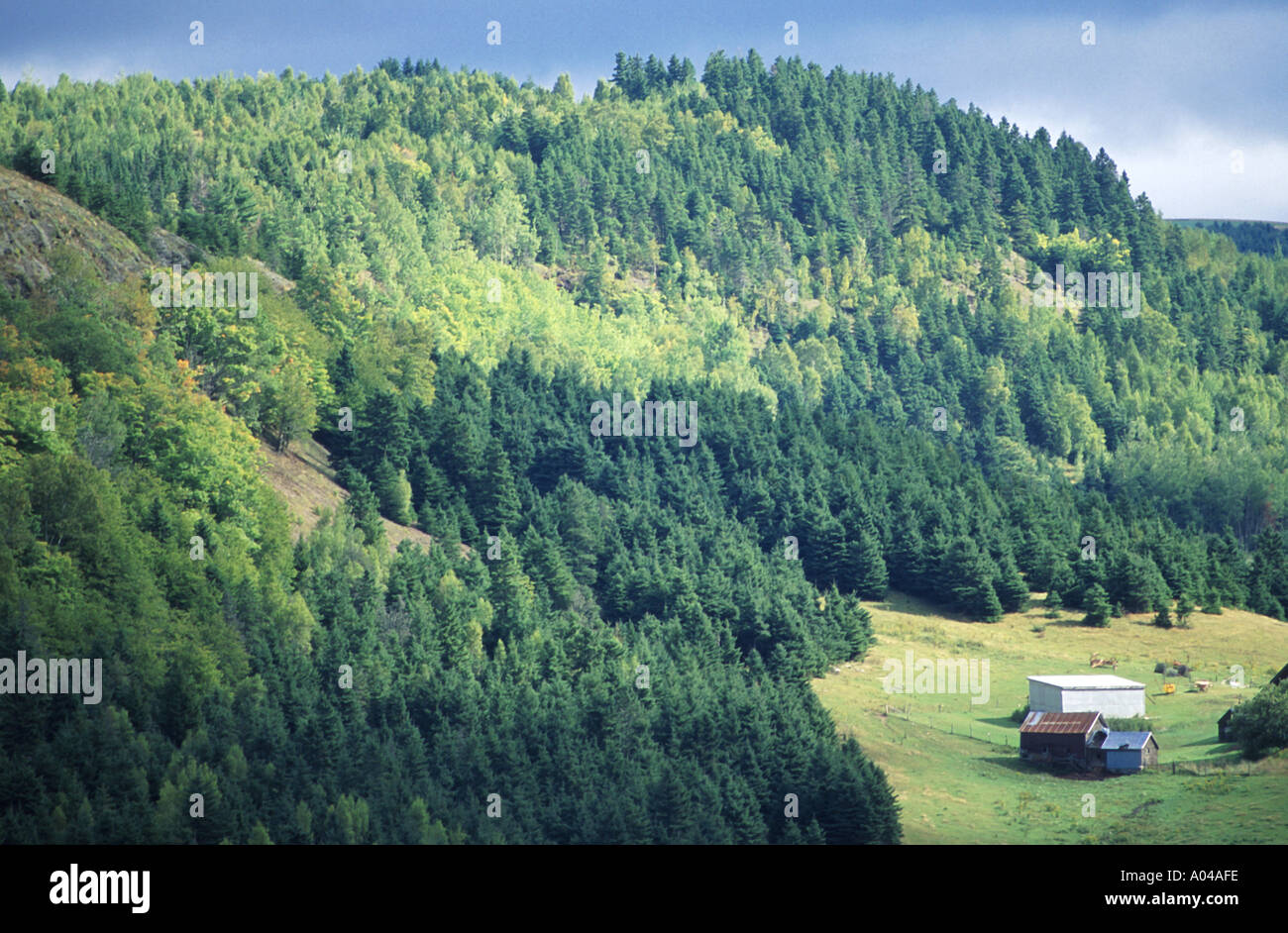 old barn on hillside Stock Photo - Alamy