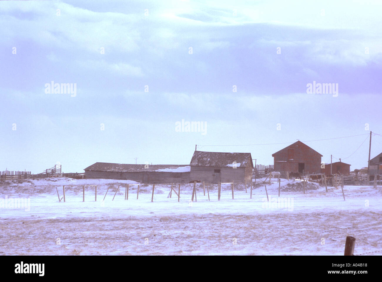 Blizzard [prairies winter storm] hi-res stock photography and images ...