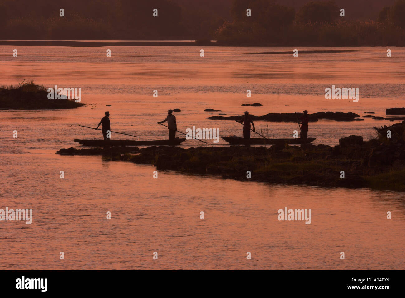 Mocoros hi-res stock photography and images - Alamy