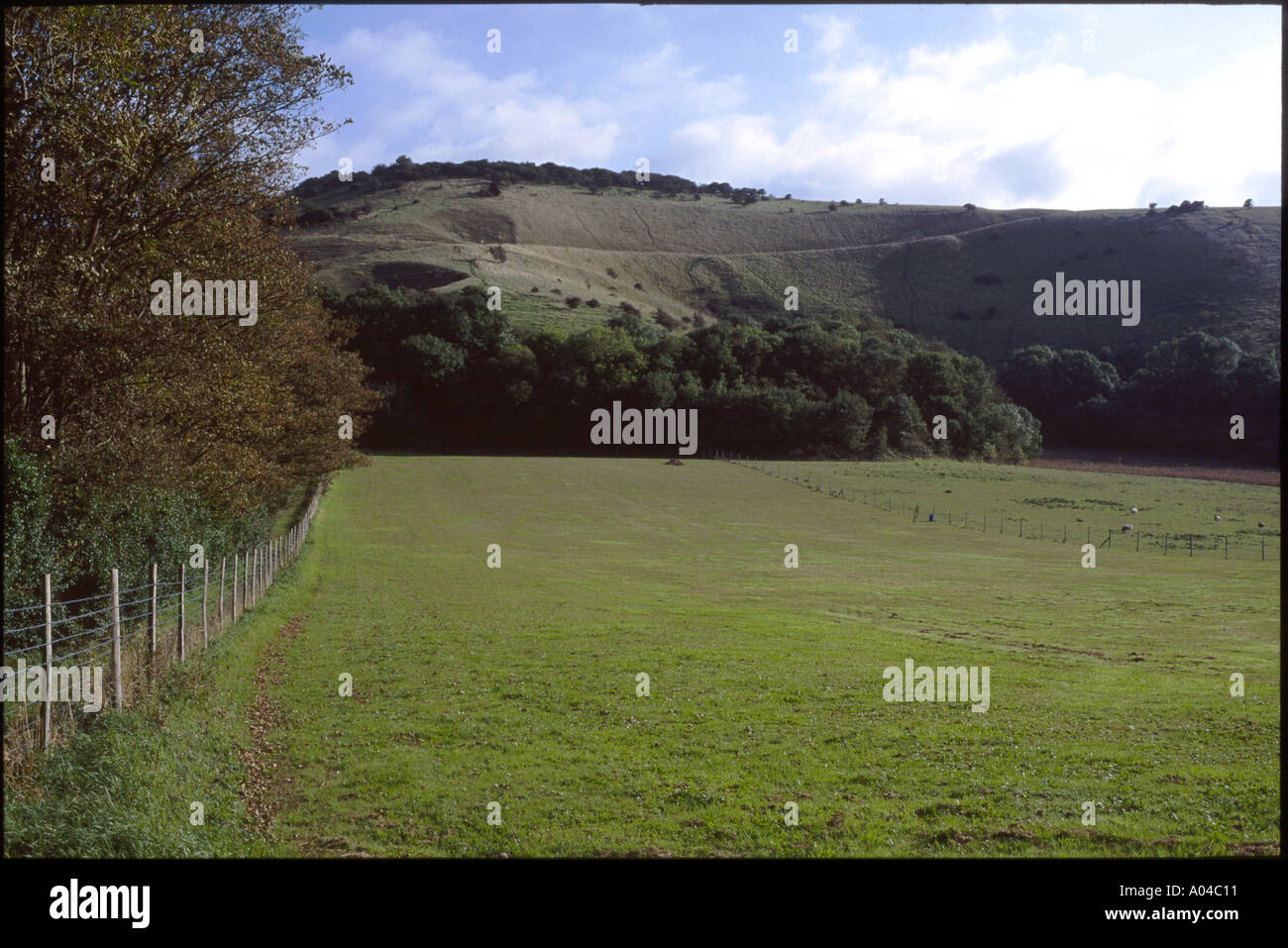 View of South Downs from Fulking Sussex UK Stock Photo - Alamy