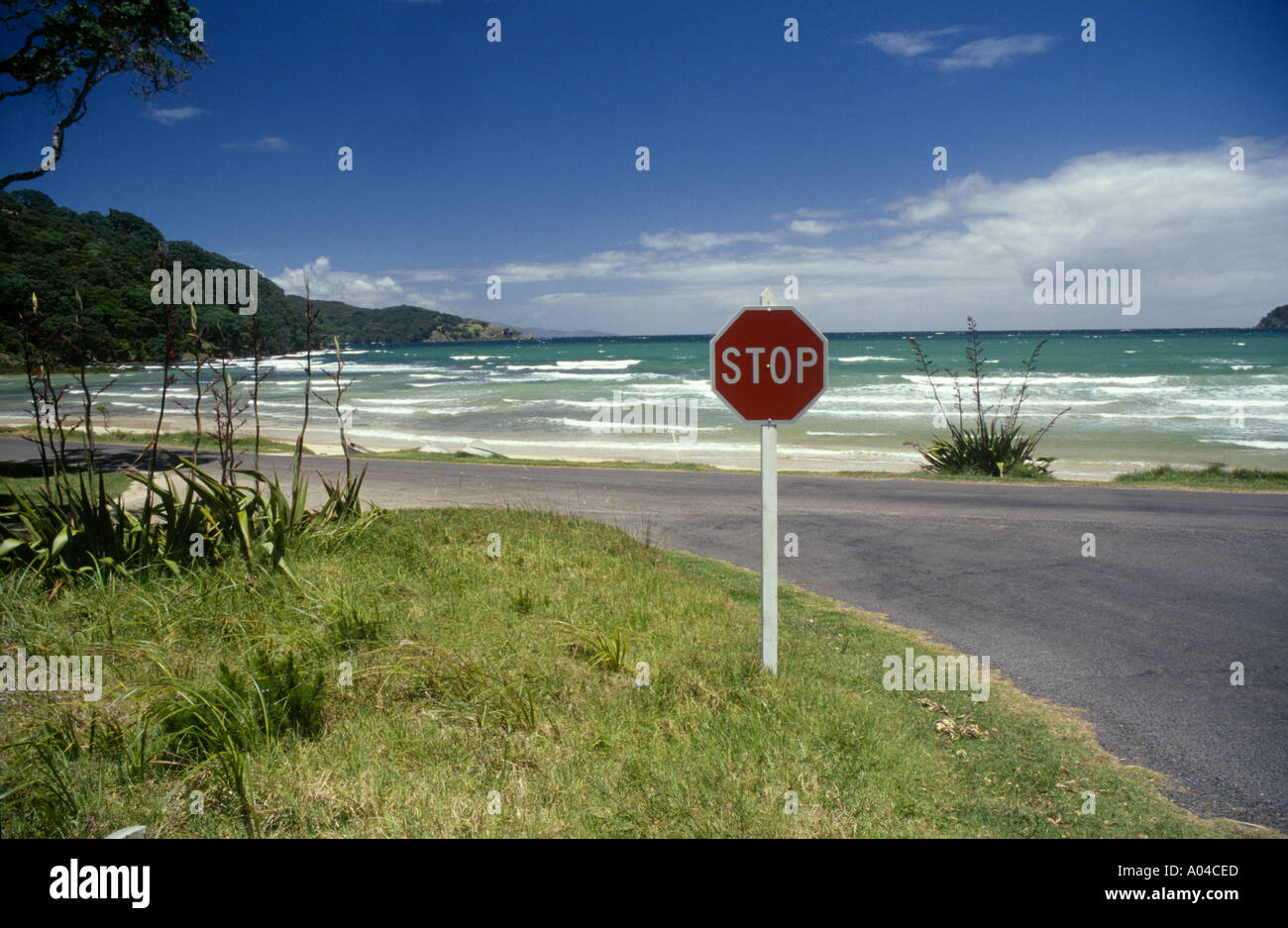 Stop Sign Great Barrier Island NZ Stock Photo - Alamy