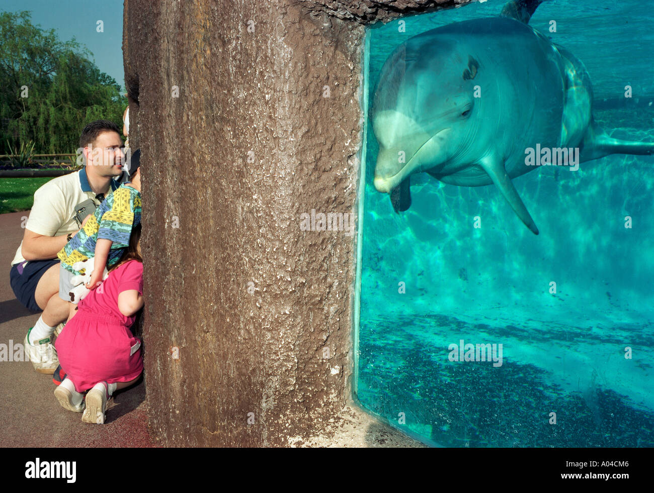 Windsor Safari Park High Resolution Stock Photography and Images - Alamy