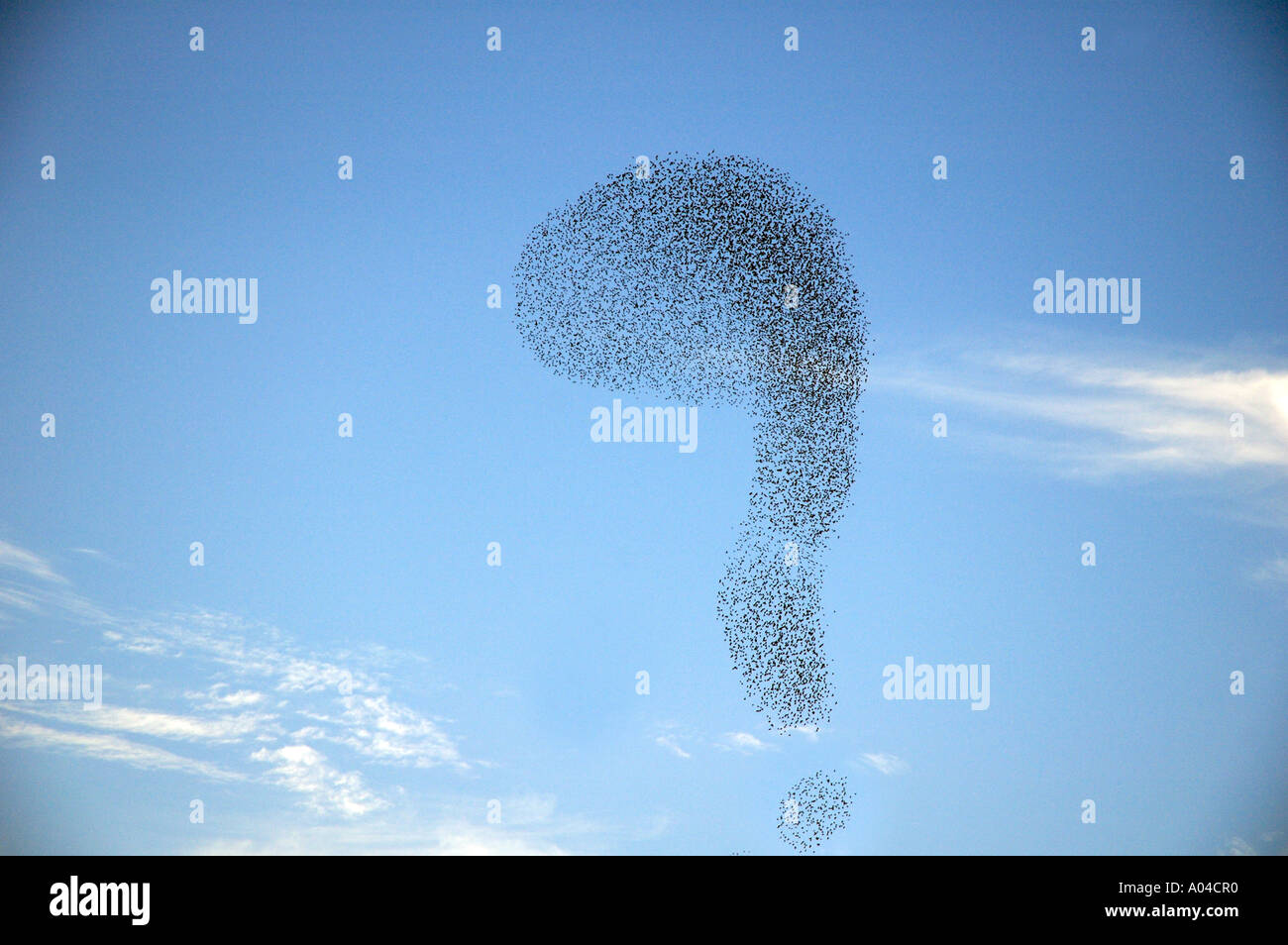 Mark Starling High Resolution Stock Photography and Images - Alamy