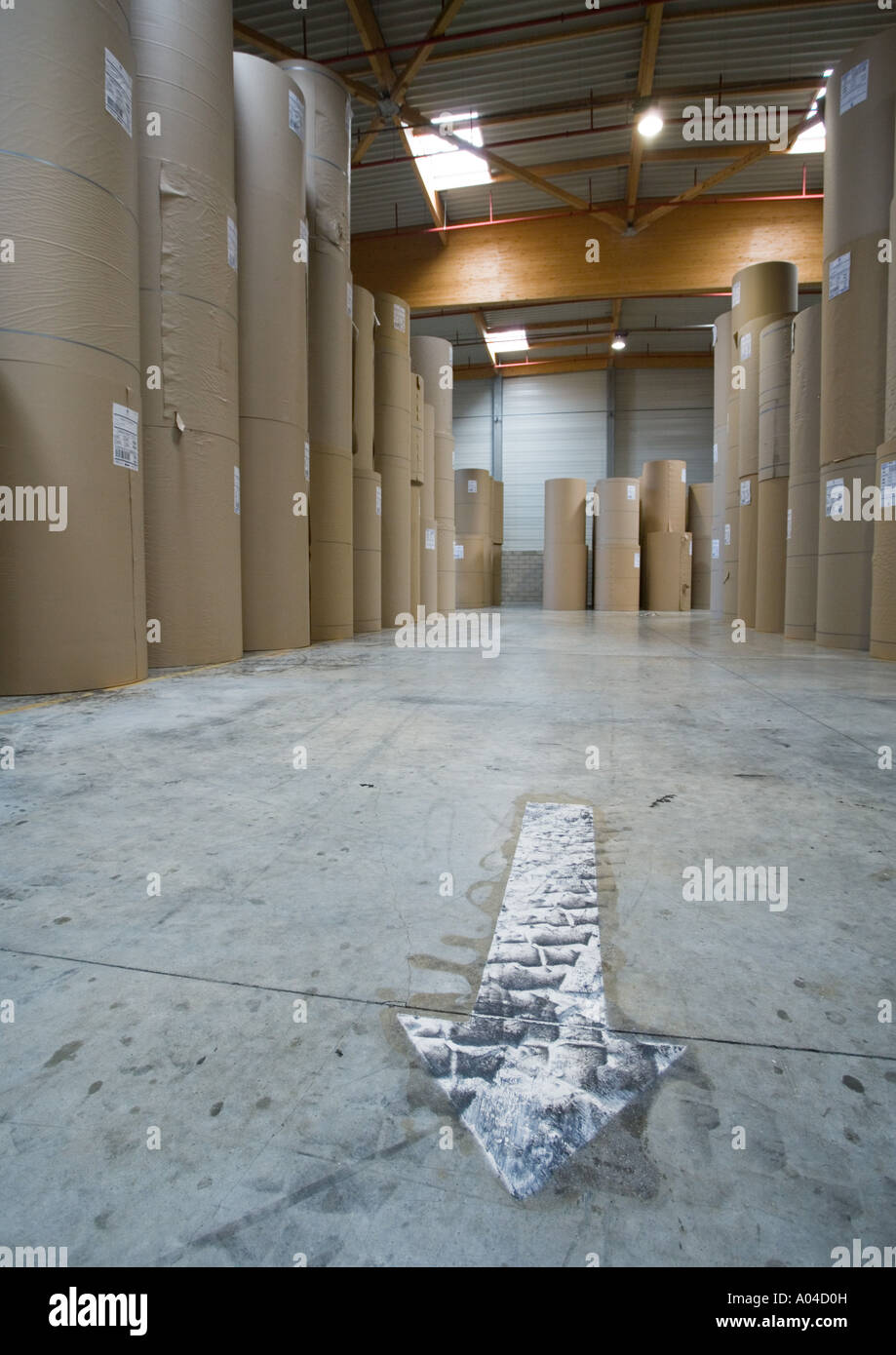Rolls of paper in warehouse Stock Photo - Alamy