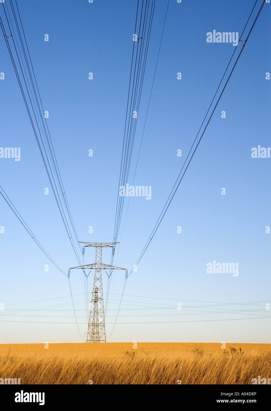 Electric pylon, low angle view Stock Photo - Alamy
