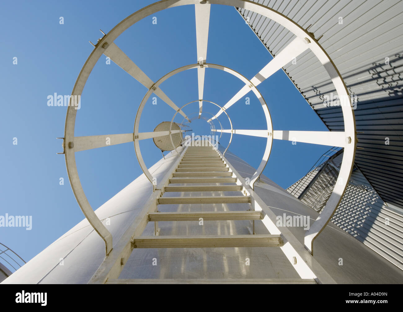 Safety ladder in industrial area, view from directly underneath Stock ...