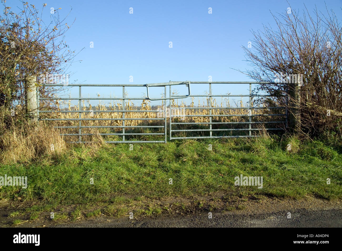 Main Gate Farm Design Custom Farm Gate Design Security Five