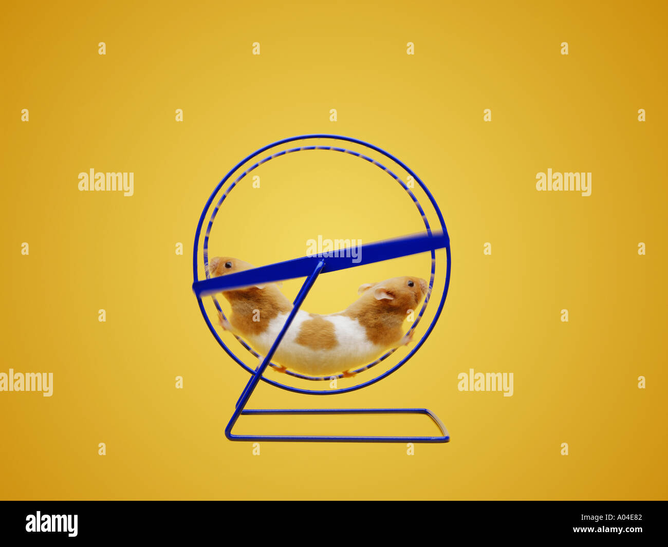 Team work not Stock Photo - Alamy