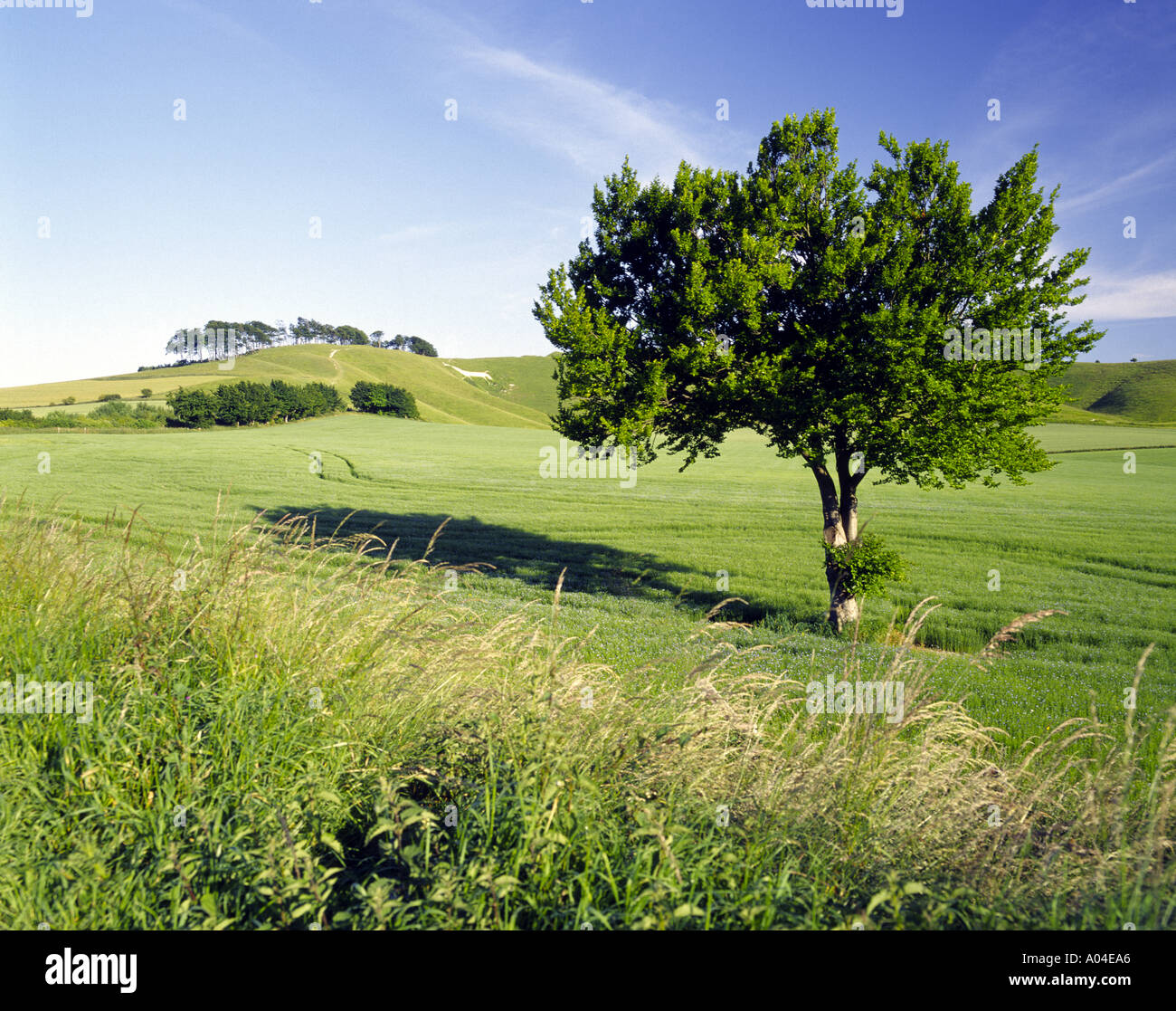 Cherhill hi-res stock photography and images - Alamy