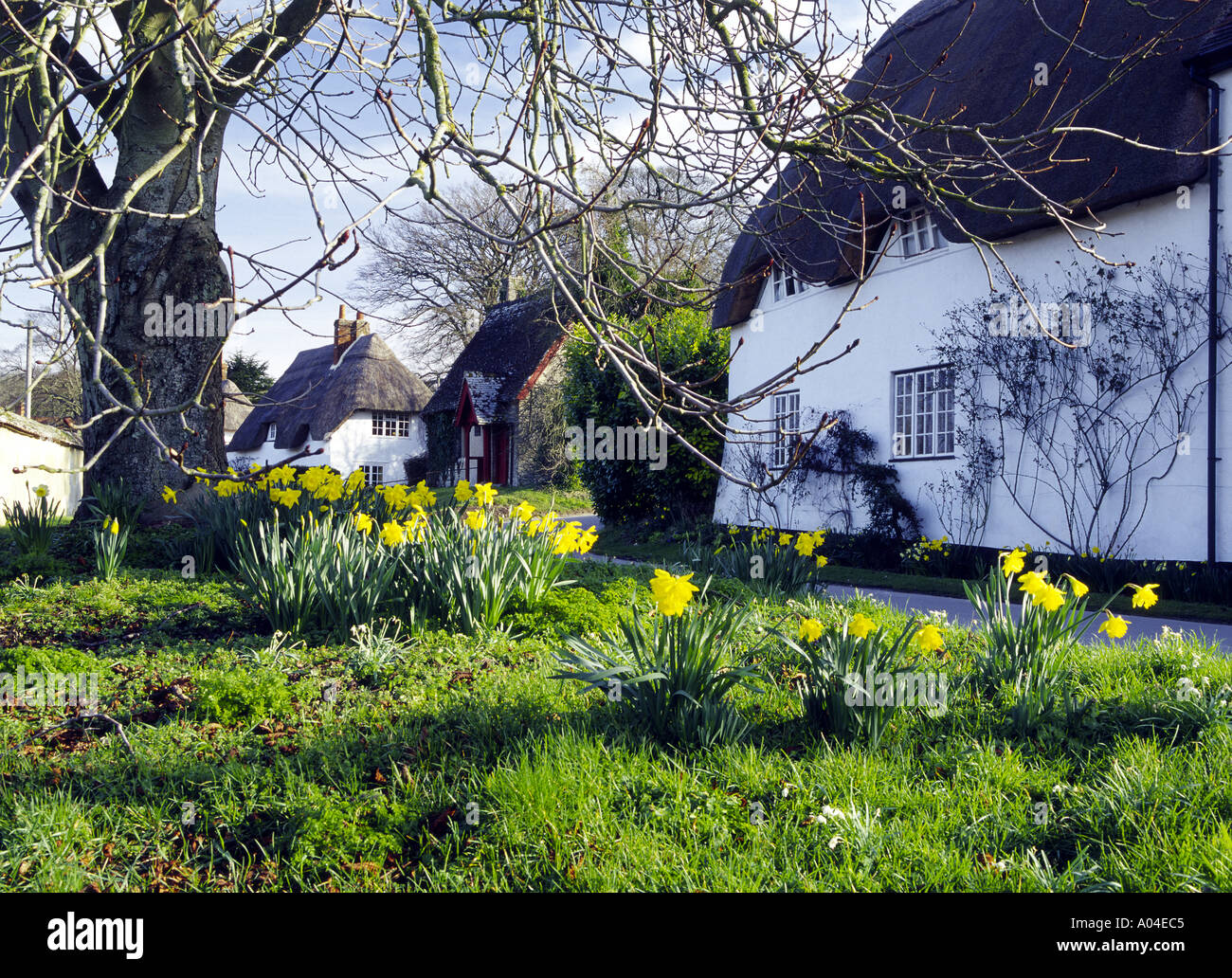 Springtime Wiltshire UK Stock Photo - Alamy