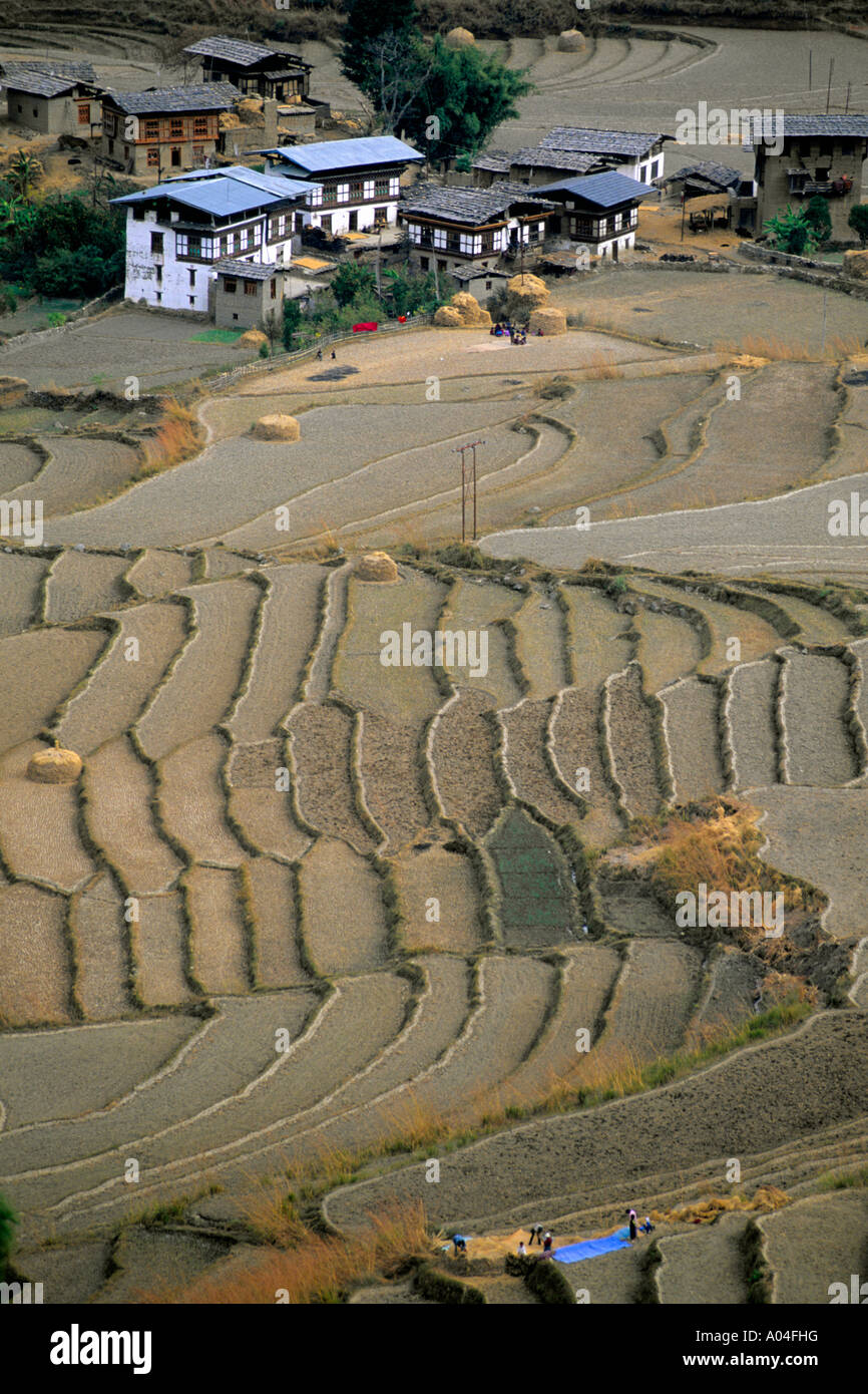 Wangdi High Resolution Stock Photography and Images - Alamy