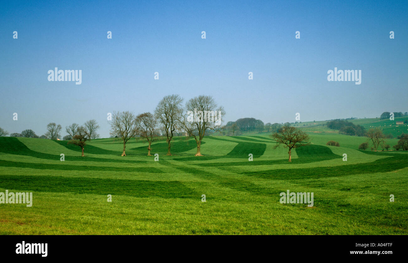 Leek staffs hi-res stock photography and images - Alamy