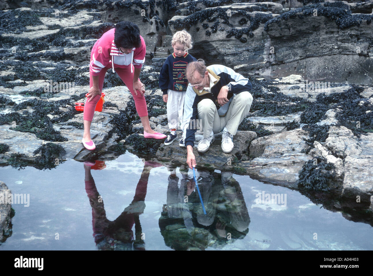 Rock pools children uk hi-res stock photography and images - Alamy