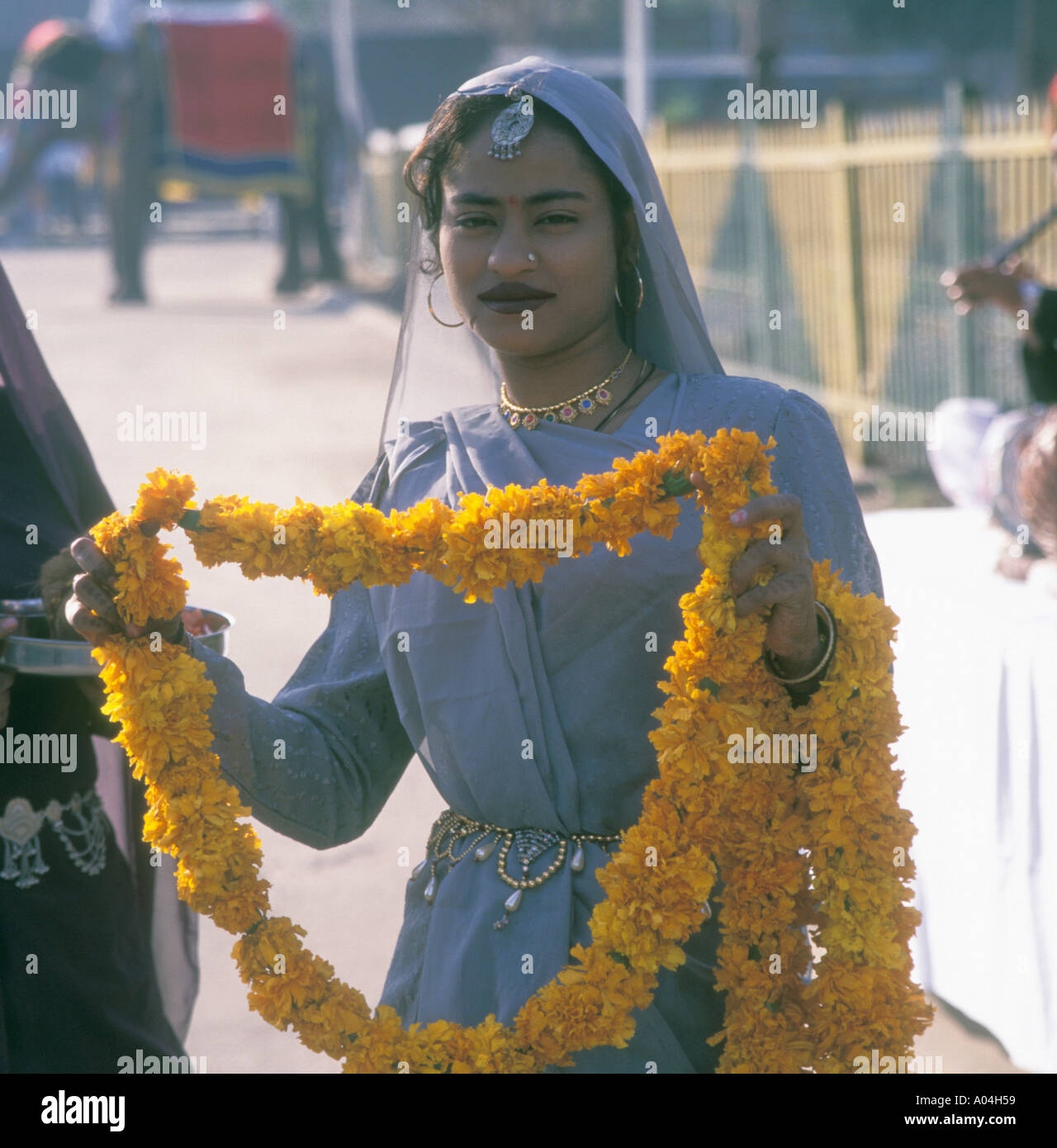 The Palace On Wheels India High Resolution Stock Photography and Images ...