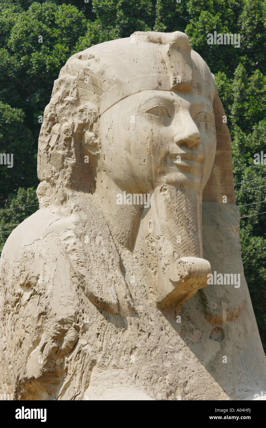 Head view of small Sphinx Memphis Museum Egyp Stock Photo - Alamy