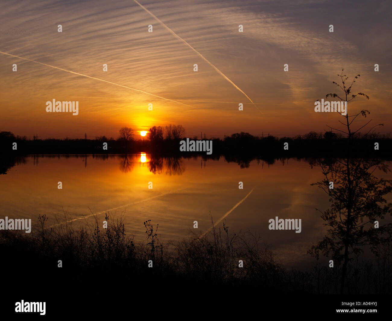 Tree sky jet trails hi-res stock photography and images - Alamy