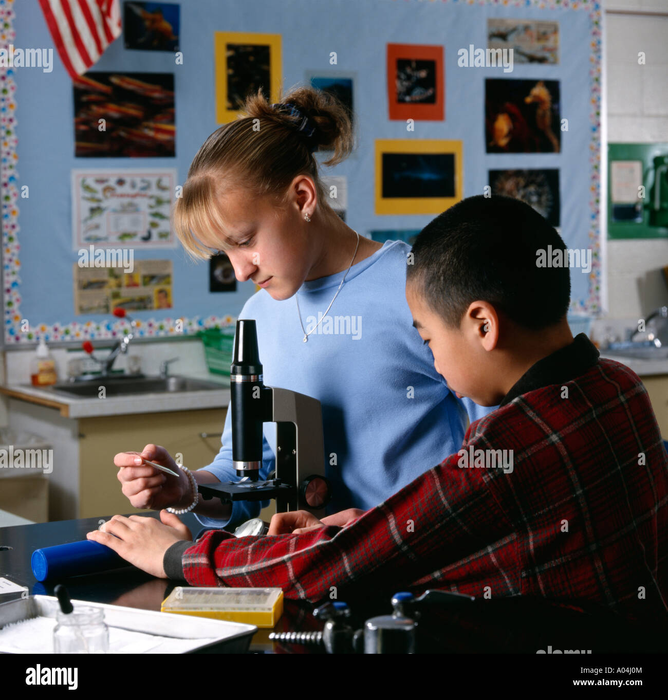Middle school students examine samples through microscope in science ...