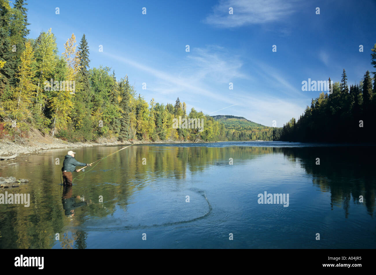 Bulkley river steelhead hi-res stock photography and images - Alamy