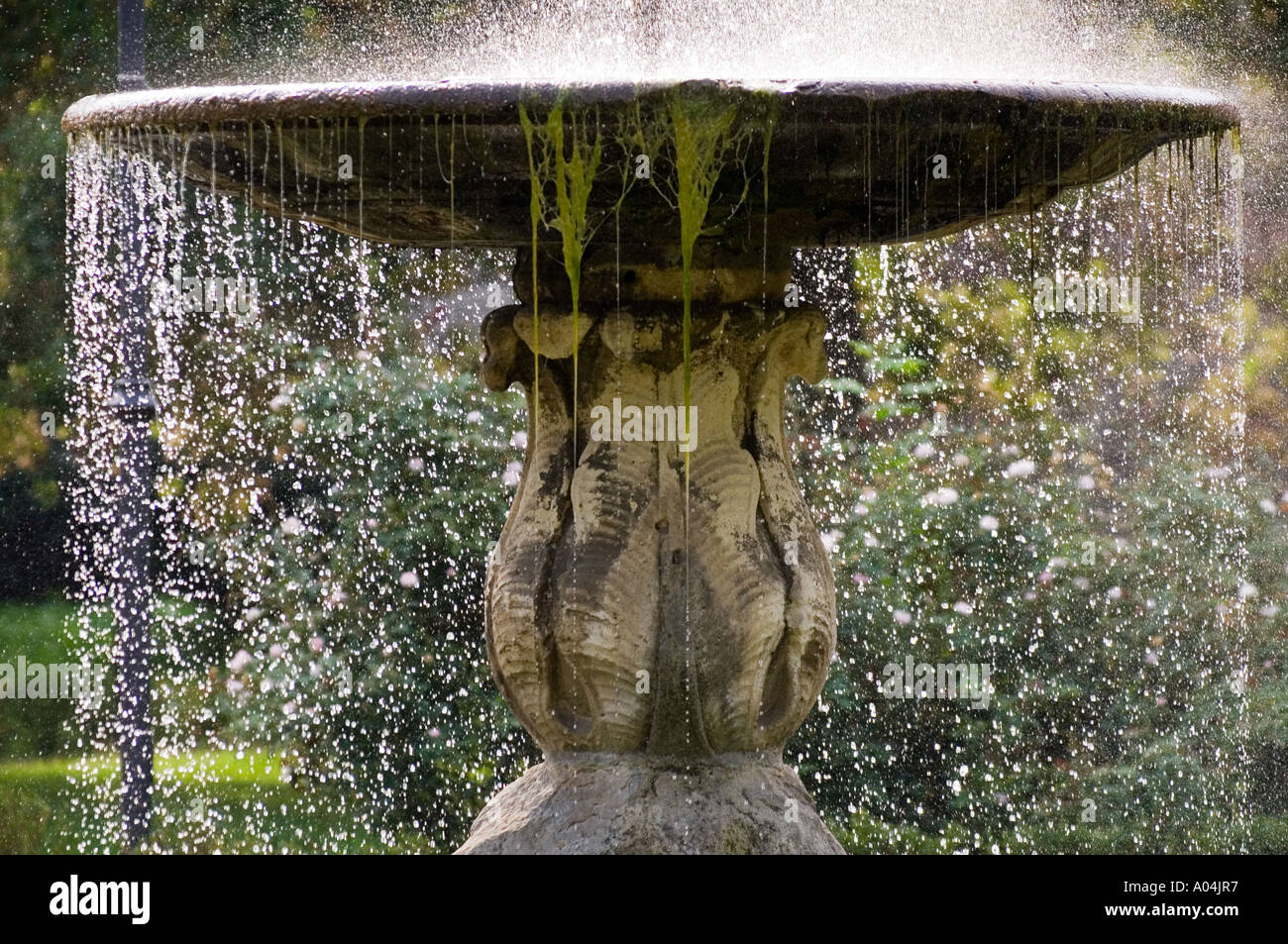 A Fountain of Water Stock Photo - Alamy