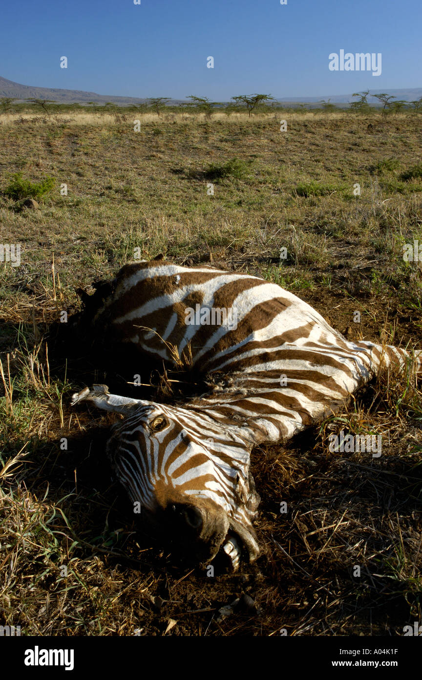 African rift valley great rift valley vertical hi-res stock photography ...