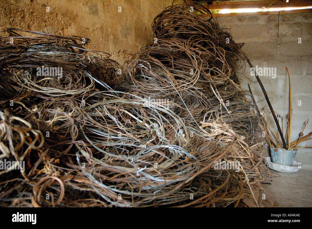 Snare Trap Africa High Resolution Stock Photography and Images - Alamy