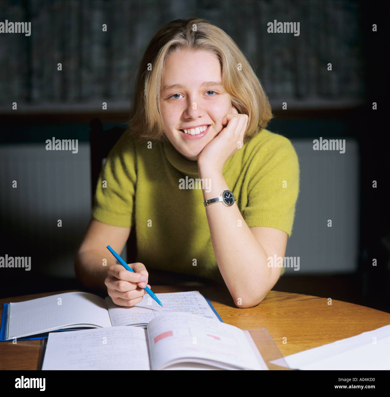 Teenage girl completing school homework Stock Photo - Alamy