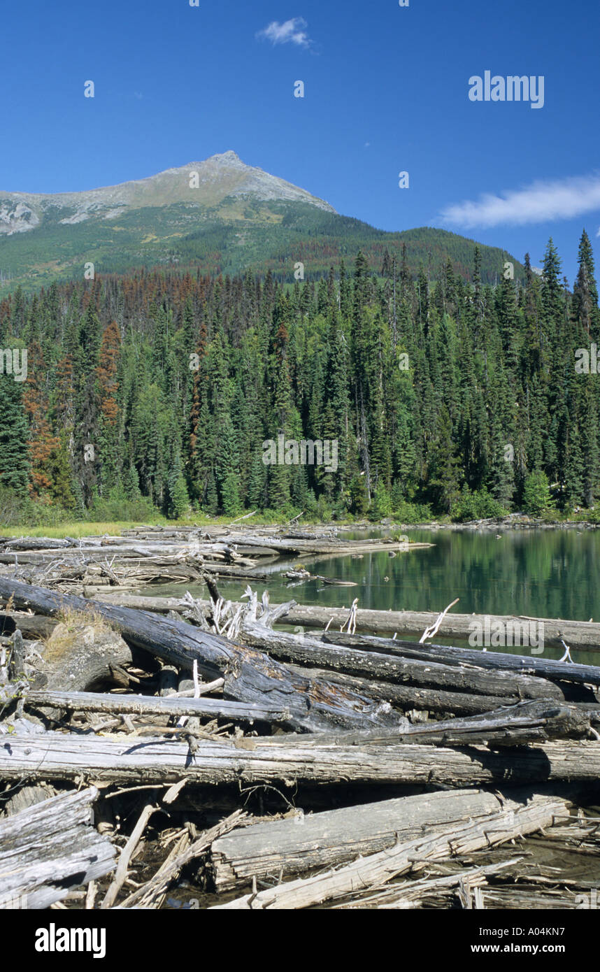 Ghost lake cariboo mountains provincial hi-res stock photography and ...