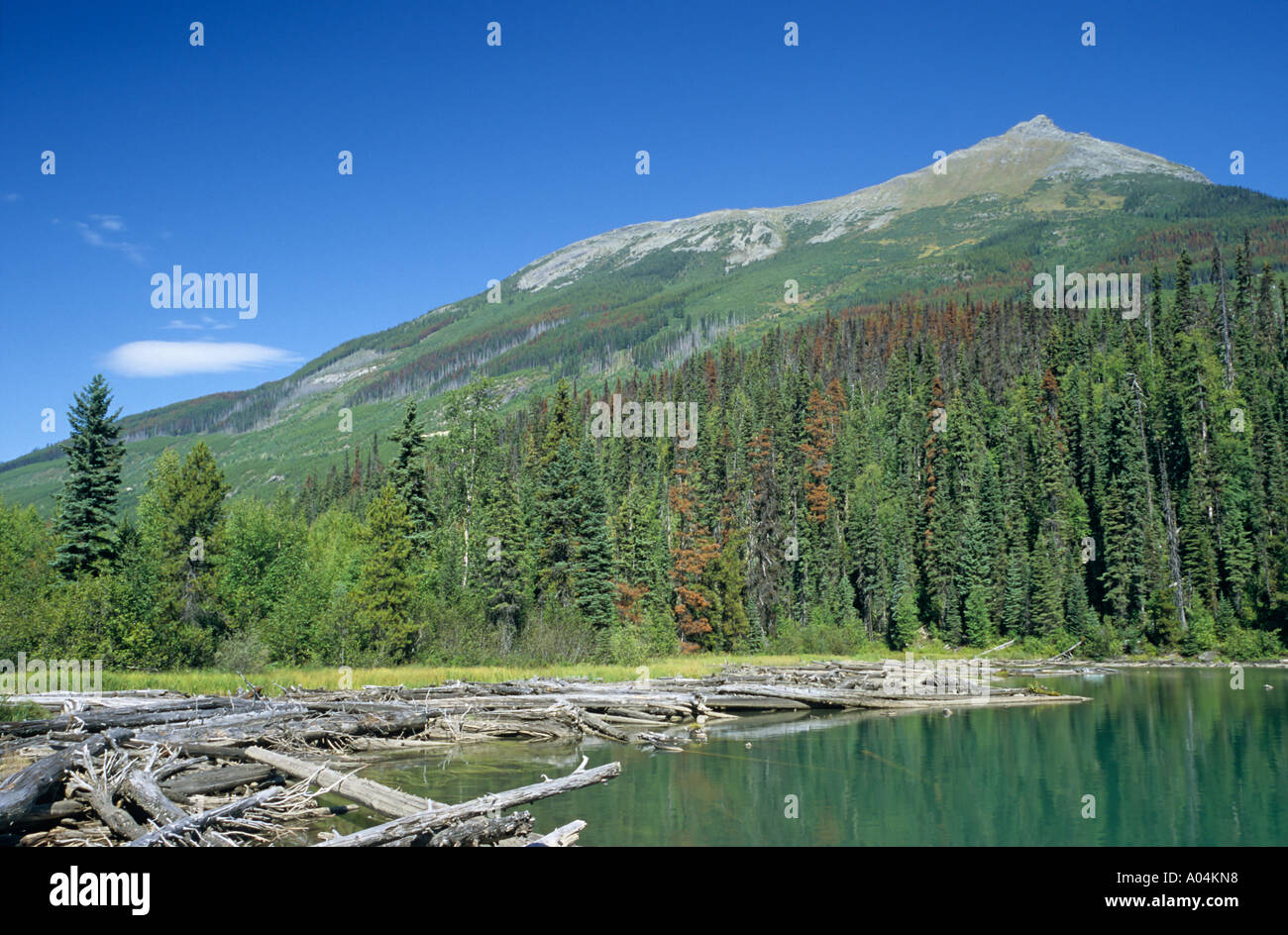 Ghost Lake Cariboo Mountains Provincial Park British Columbia Stock ...