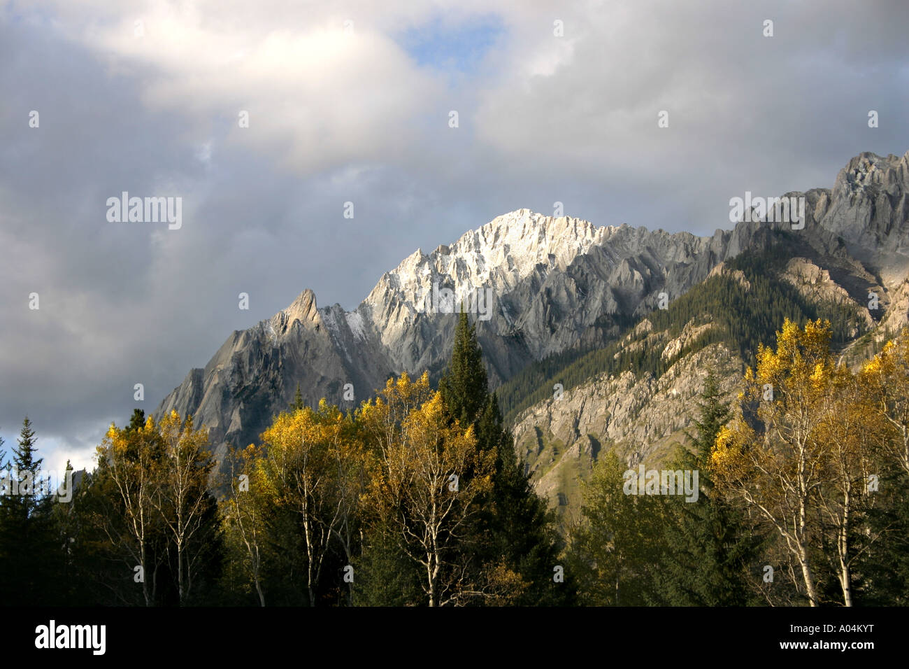 Gold sunbeam alpine hi-res stock photography and images - Alamy