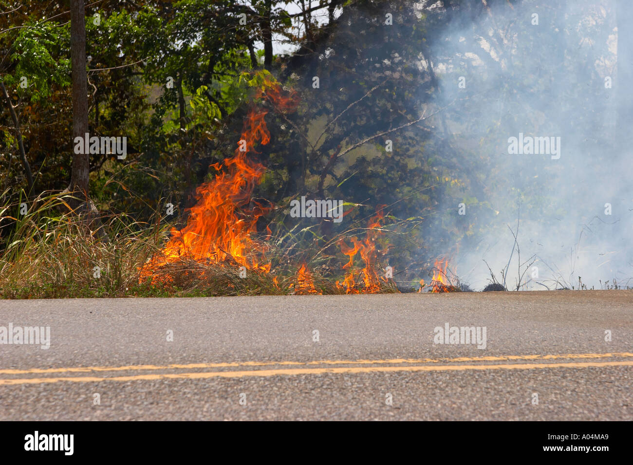 Roadside Brush Fire Stock Photo - Alamy