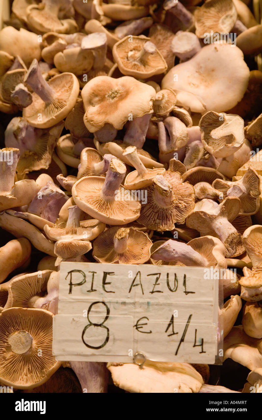 Blue foot mushrooms hi-res stock photography and images - Alamy