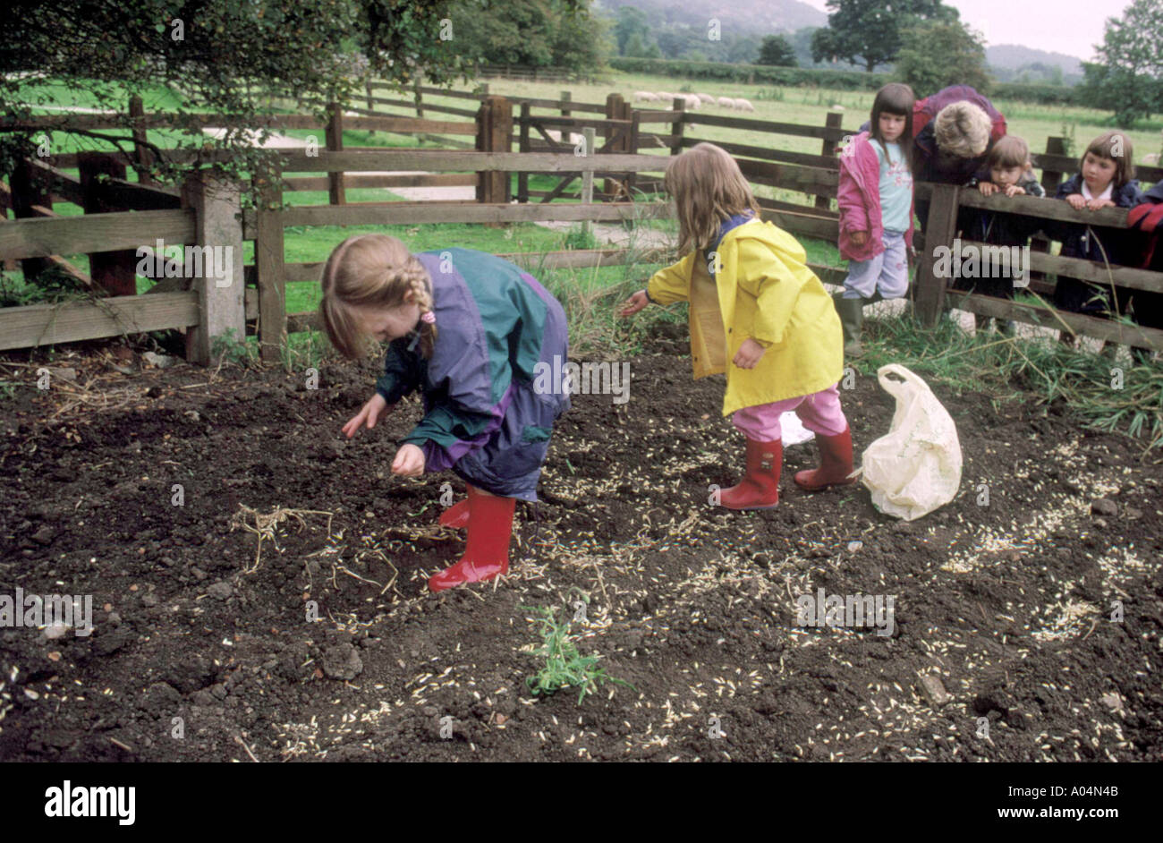 primary children visting a farm Stock Photo - Alamy