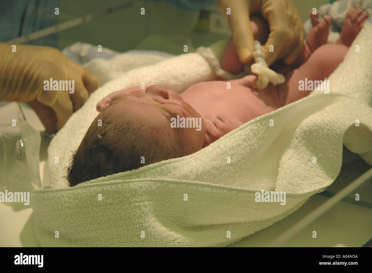 cutting the cord of new born baby Stock Photo - Alamy