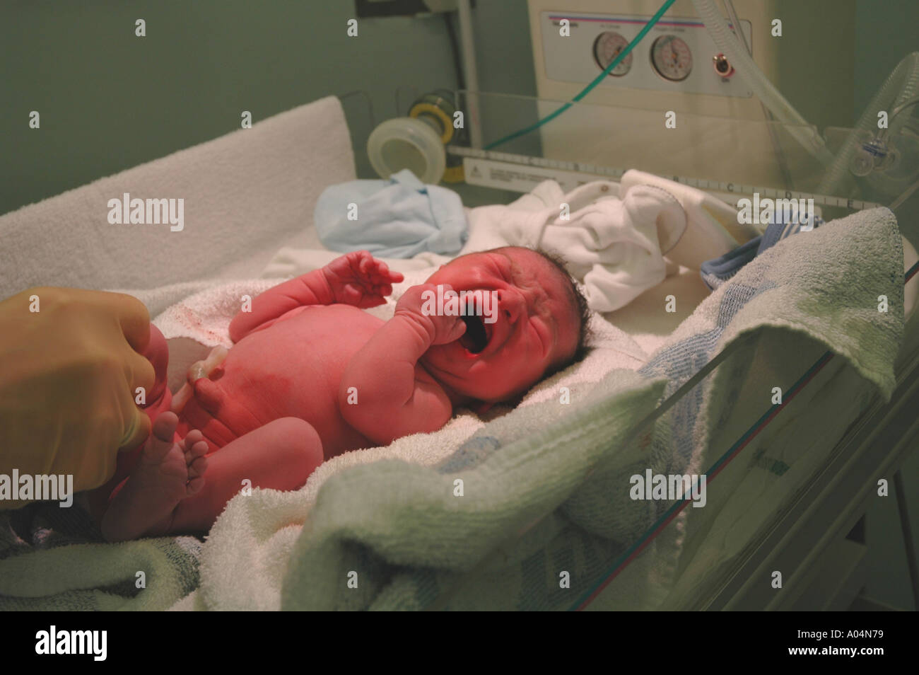 newborn baby being name tagged Stock Photo - Alamy