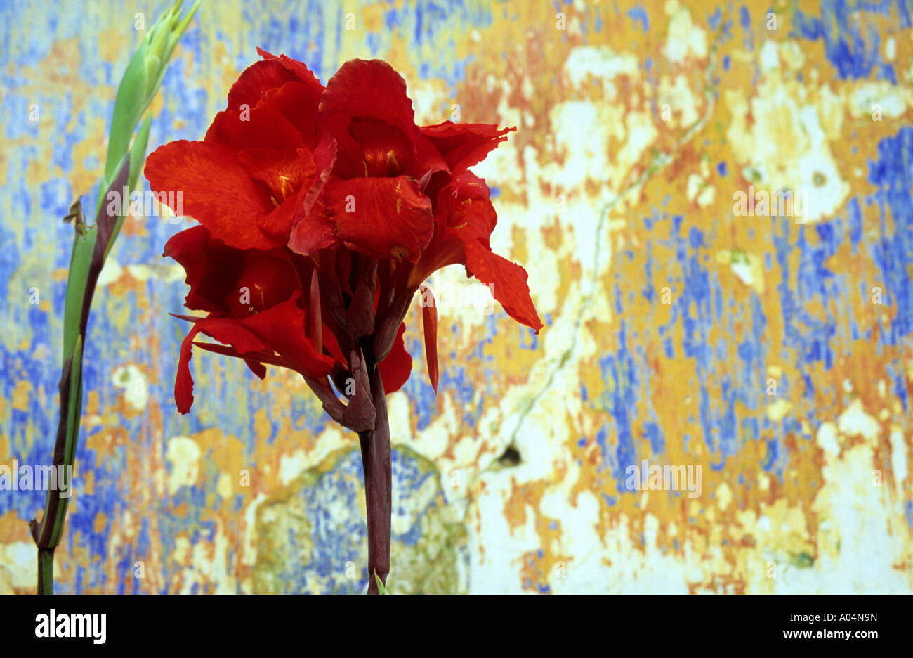 Peeling box effect hi-res stock photography and images - Alamy