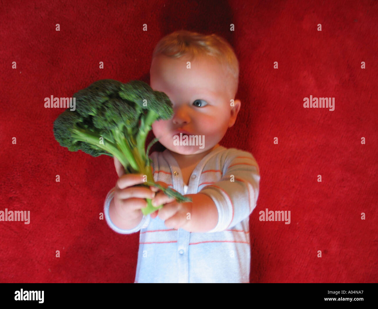 Baby and Broccoli Stock Photo - Alamy