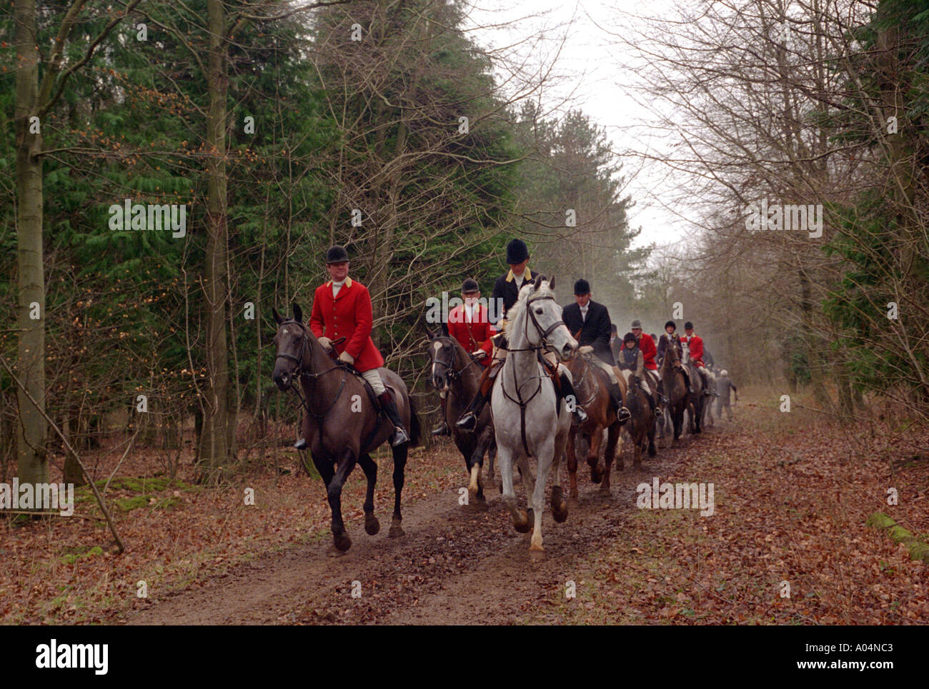 Fox hunting in the English countryside Stock Photo - Alamy