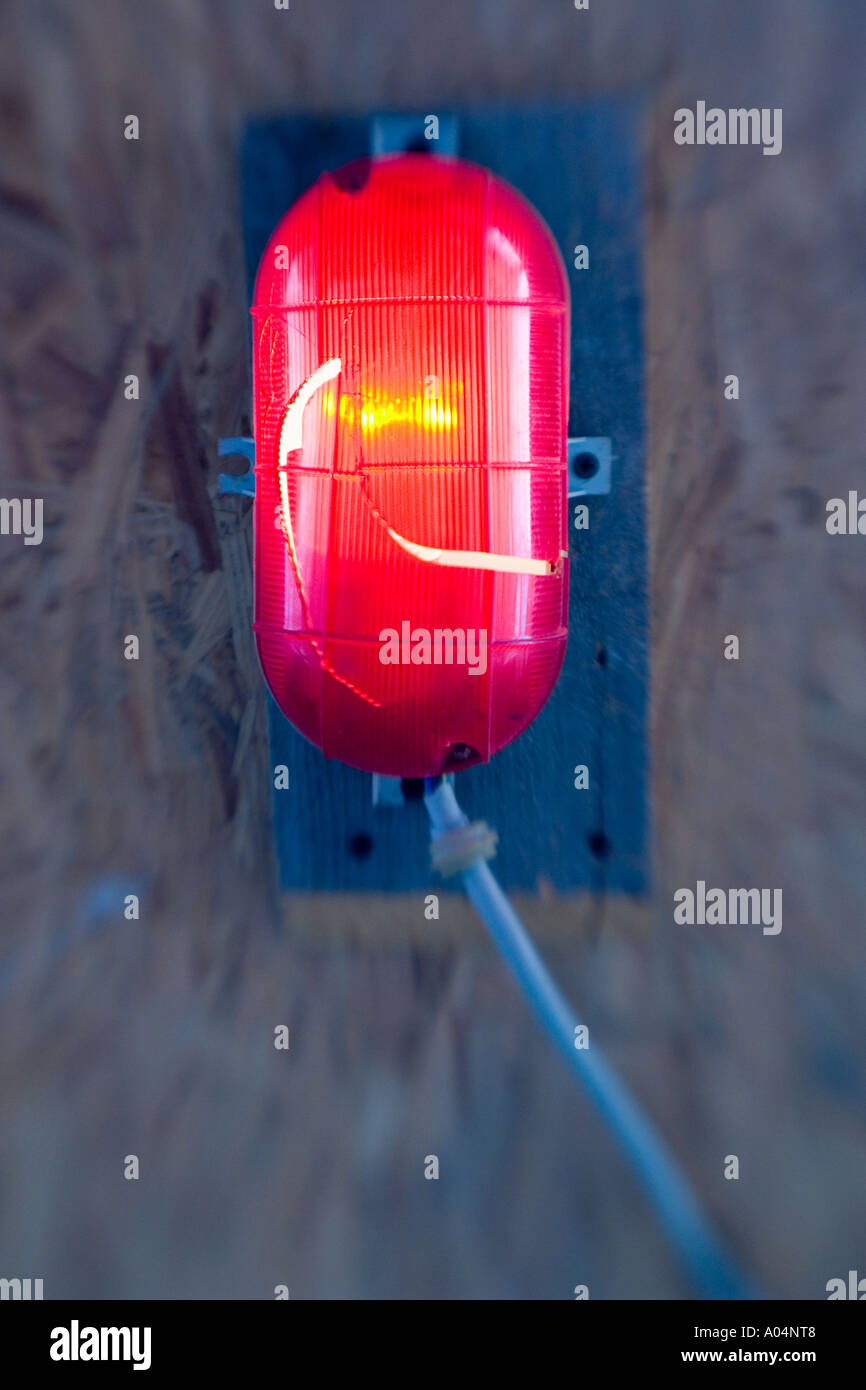 Red Light Cracker Stock Photo - Alamy